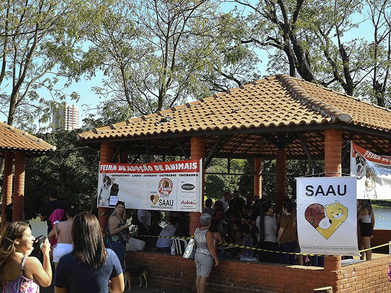 Coluna Italo | Domingo tem Feira de Adoção de Animais da SAAU no Lago ...
